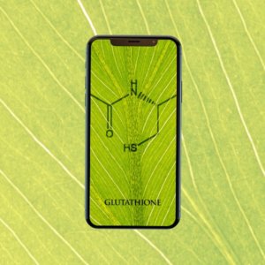 Subtle Energy Products | Digital Healing Mandalas