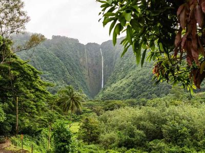 Universal Life Force Energy: 8 Examples from Around the World