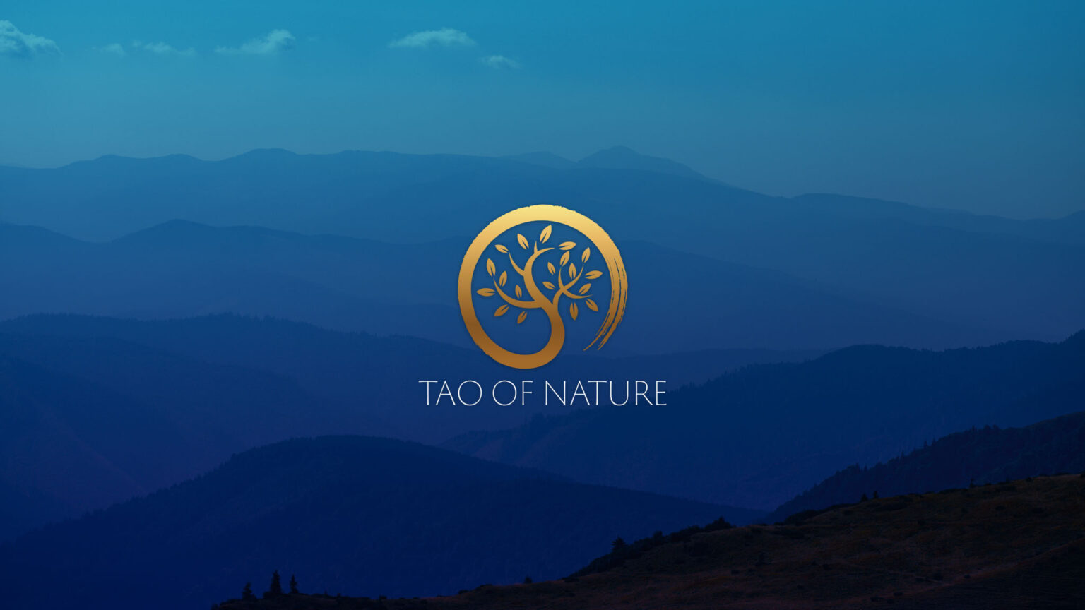 Quantum and Subtle Energy Science Articles